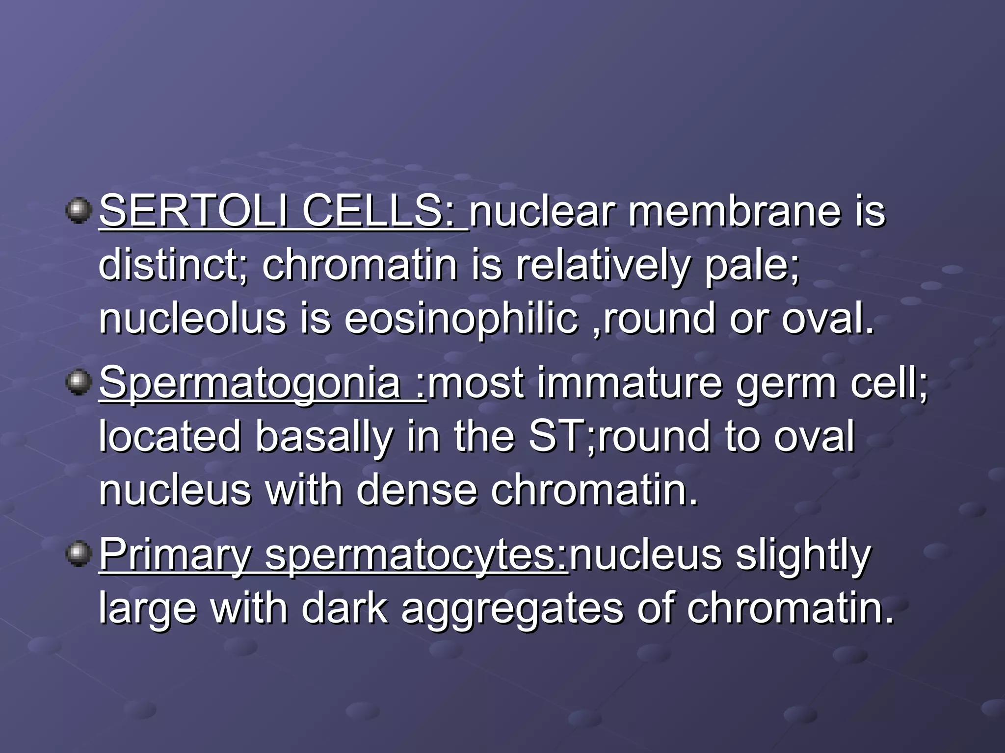 Interpretation of testicular biopsy | PPT