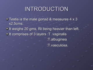 Interpretation of testicular biopsy | PPT