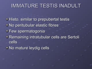 Interpretation of testicular biopsy | PPT