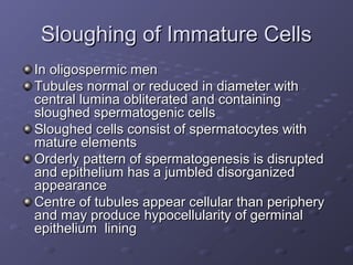 Interpretation of testicular biopsy | PPT