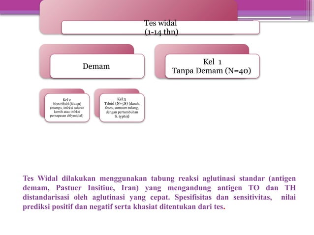 Interpretation of the Widal Test in Infected Children.pptx