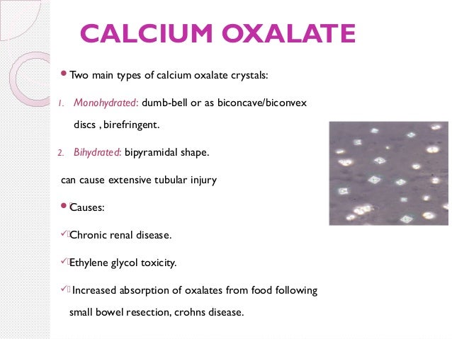 Urine Interpretation / Test / Analysis