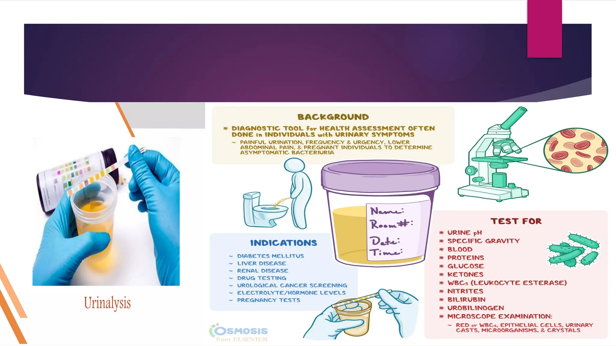 INTERPRETATION OF URINALYSIS BY DR. ONUORAH PRINCESS .pptx