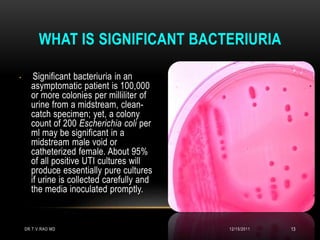 Interpretationofurineculture 111215200736-phpapp02 | PPTX