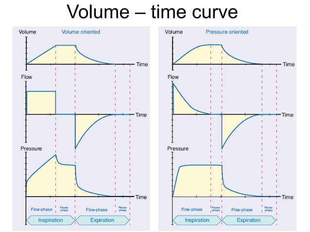 Interpretation of ventilator graphics | PPT Interpretation of ventilator graphics | PPT
