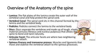 Interpretation of Xrays of the spine.pptx