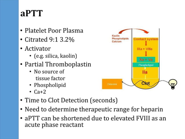 Interpretation pt & a ptt ver 2.0 | PPT