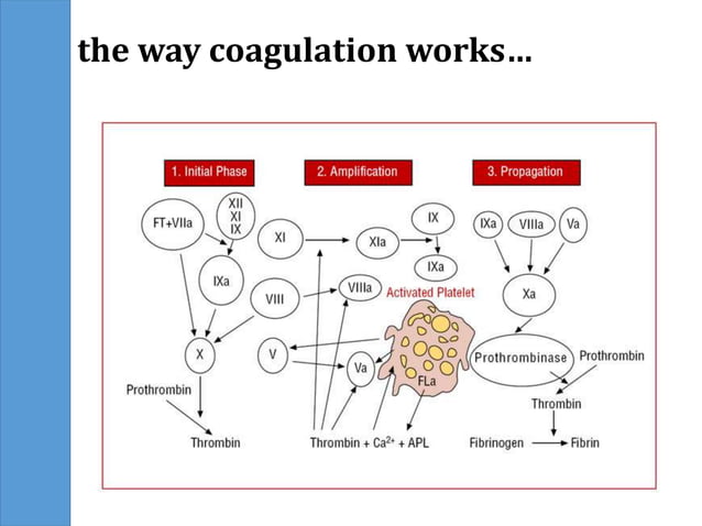 Interpretation pt & a ptt ver 2.0 | PPT