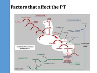Interpretation pt & a ptt ver 2.0 | PPTX