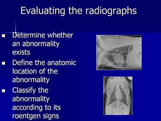 interpretations_of_radiographs2022.ppt