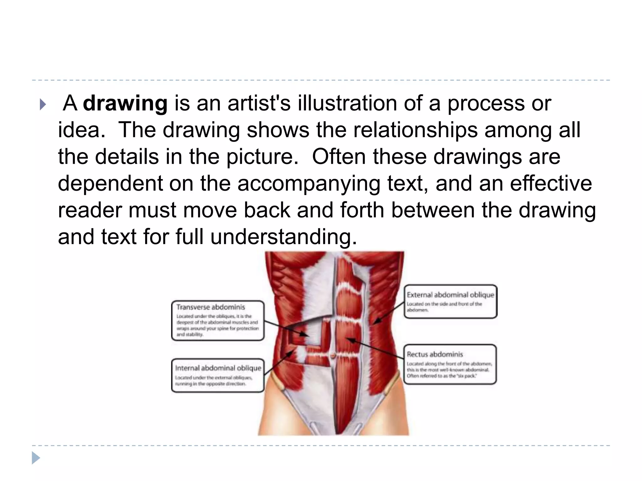 Interpreting charts and graphs | PPTX