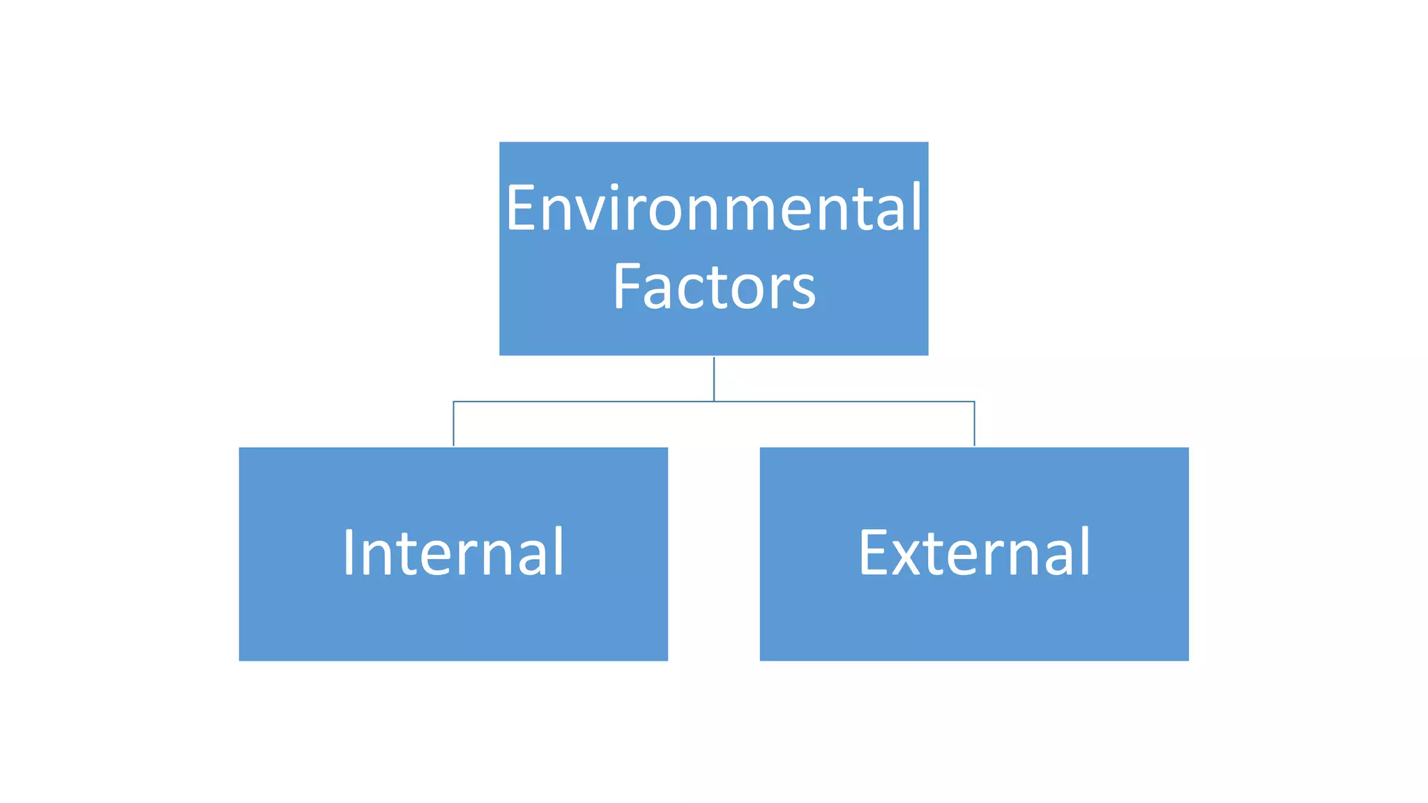 Interpreting environmental factors | PPTX | Business | Business and Finance
