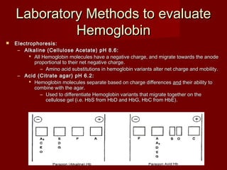Interpreting Abnormal hemoglobin study | PPT
