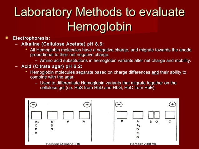 Interpreting Abnormal hemoglobin study | PPT