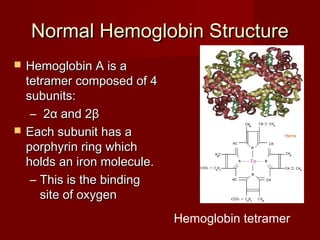 Interpreting Abnormal hemoglobin study | PPT