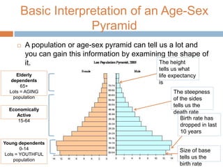 Interpreting population pyramids | PPTX