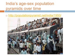 Interpreting population pyramids | PPTX