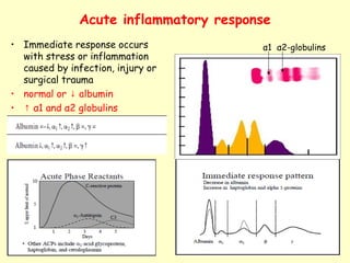 Interpreting serum protein electrophoresis | PPT