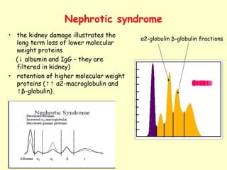Interpreting serum protein electrophoresis | PPT