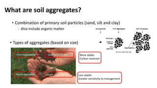Interpreting soil health dynamics via improved quantification of soil ...