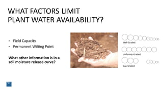 Interpreting Soil Moisture Release Curve Data | PDF