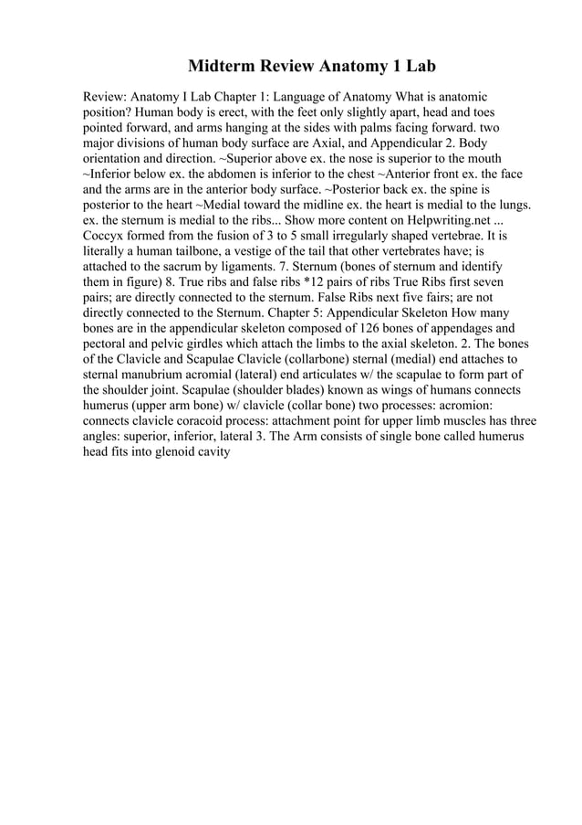 Interpretive Essay Examples | PDF