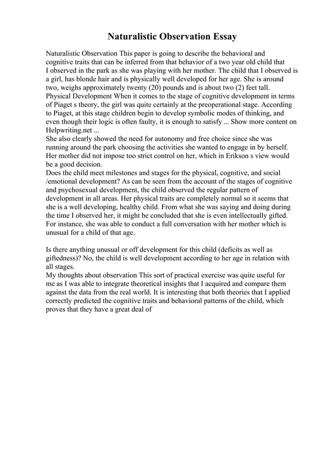 Interpretive Essay Examples | PDF