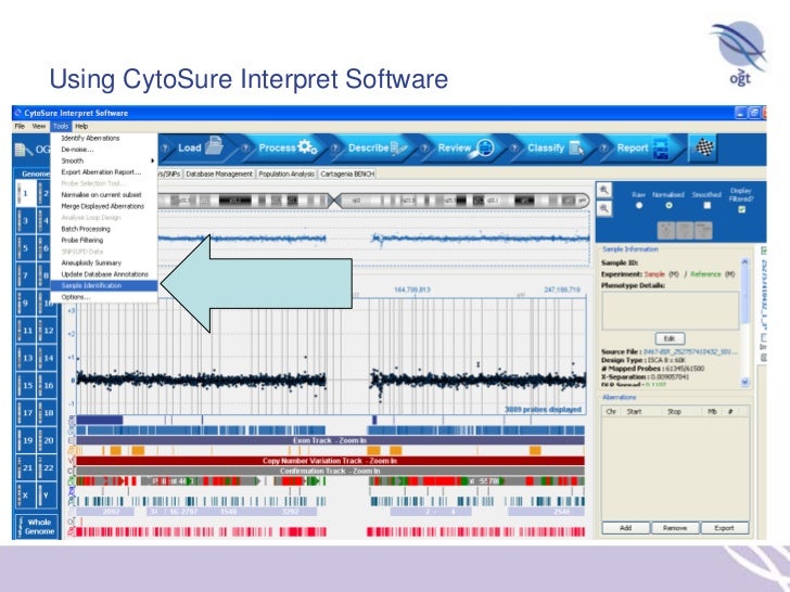 Interpret tutorial spikes