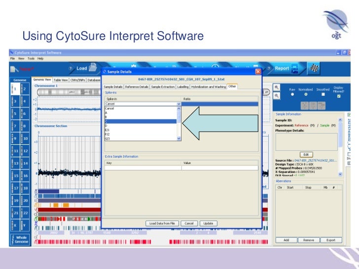 Interpret tutorial spikes