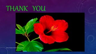 Interpersonal theory | PPT