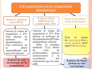 Interprétation d'un bilan d'hémostase TP TCK INR | PPTX