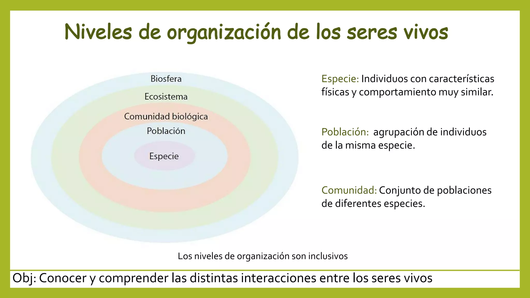 Interacciones en los Ecosistemas | PDF
