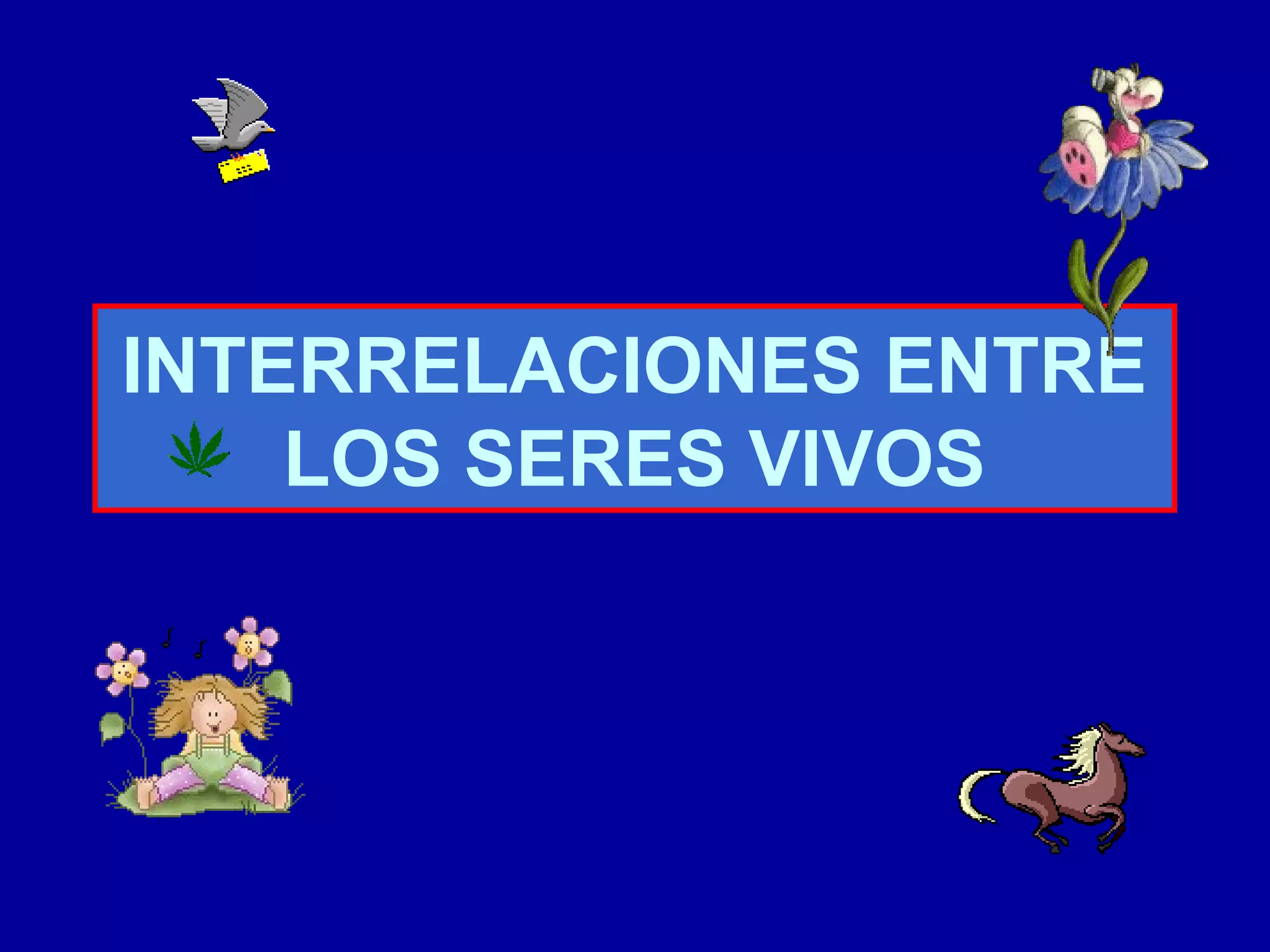 Interrelaciones entre seres vivos | PPT | Biological Sciences | Science