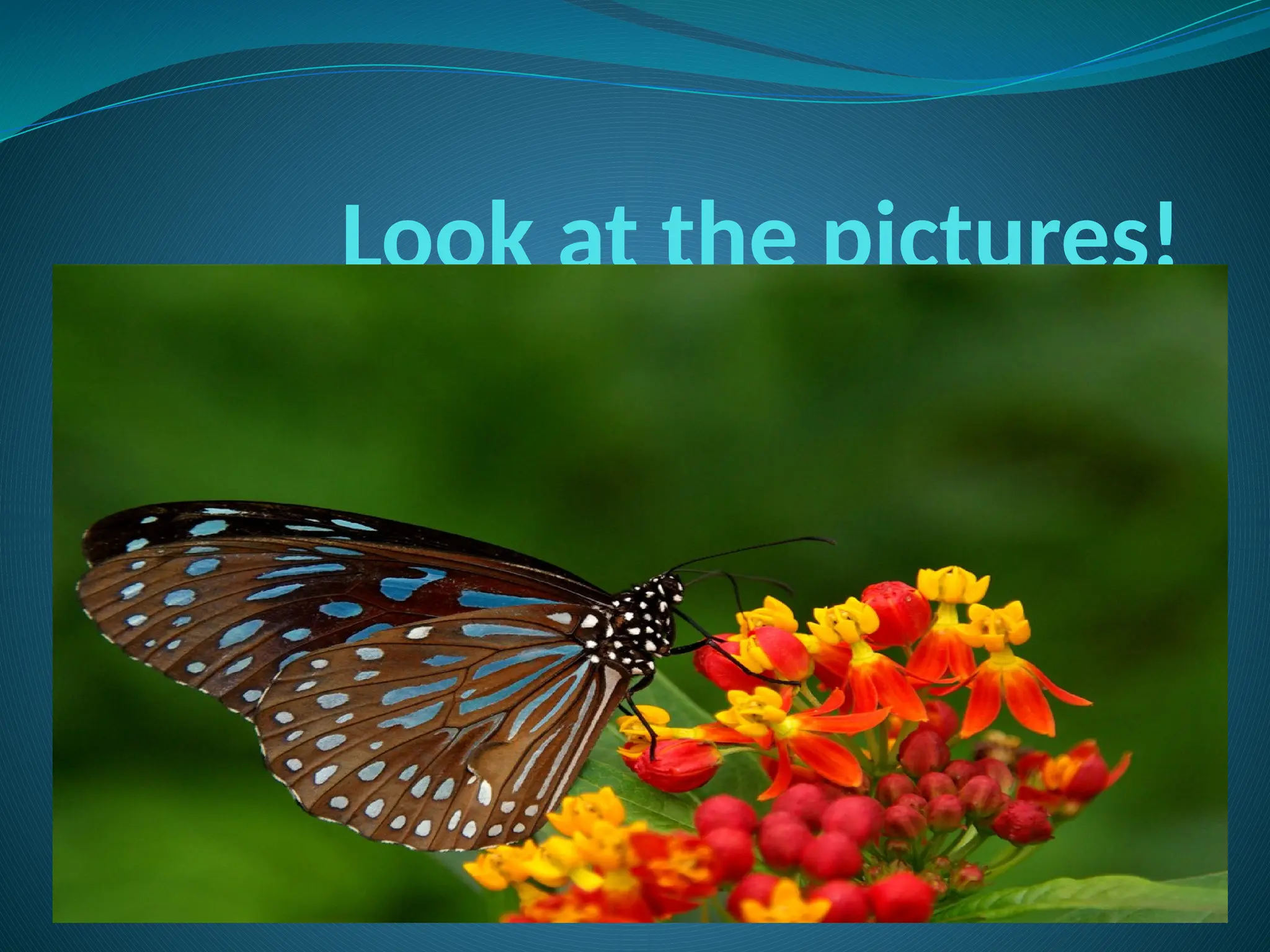 interrelationship-in-ecosystem-educational.pptx