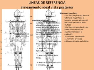Interrogatorio y Motivos de Consulta Musculo Esqueletico | PPTX