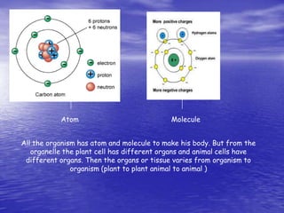 Chemistry in our daily life | PPTX