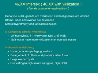 Intersex | PPT