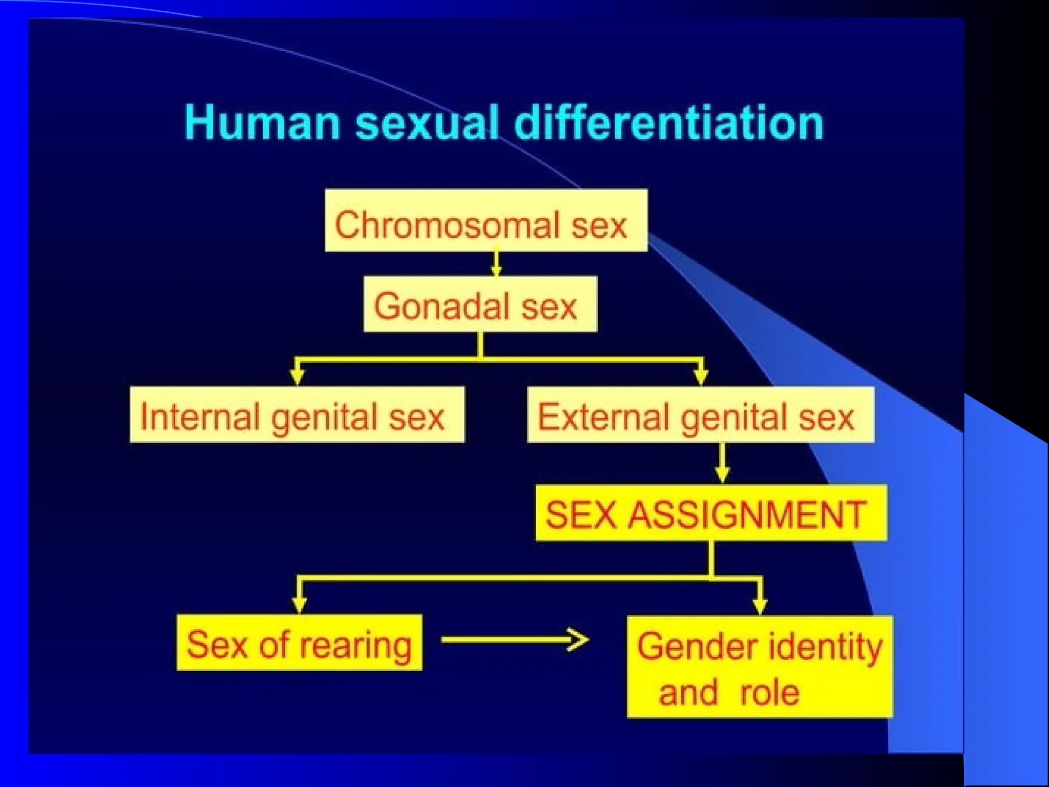 INTERSEX obstetrics and gynecology .pptx