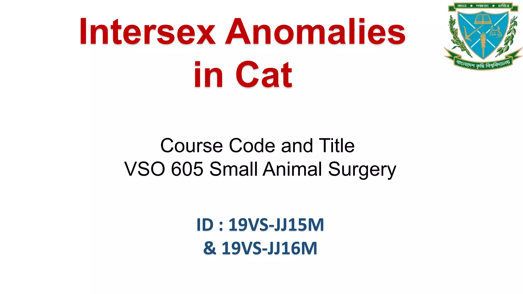 Intersex Anomalies In Cat Ppt