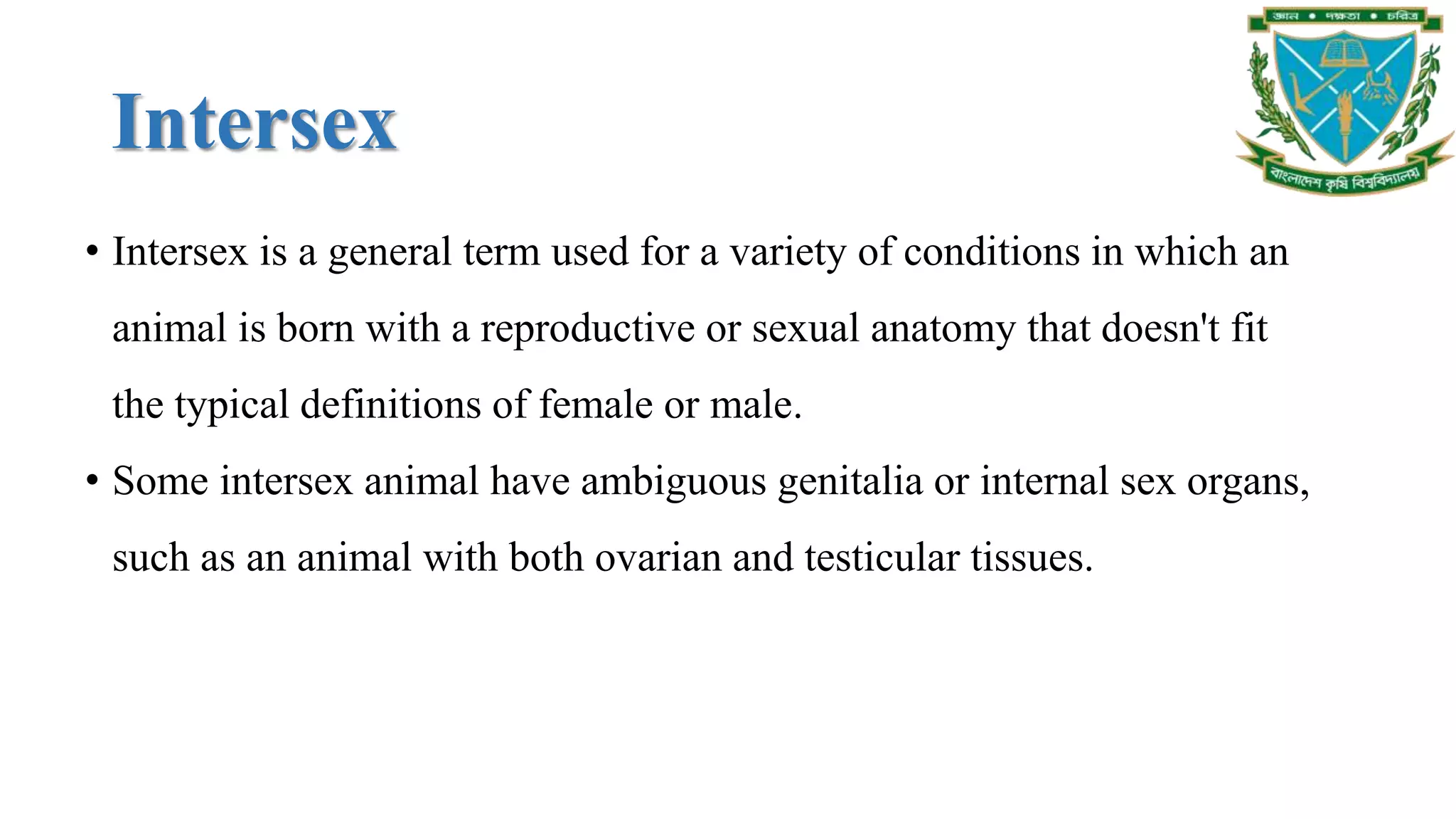 Intersex Anomalies In Cat Ppt
