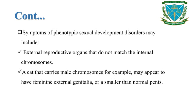 Intersex Anomalies In Cat Ppt