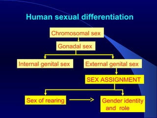 Intersex ppt by arch | PPT