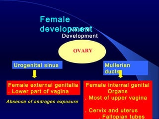 Intersex ppt by arch | PPT