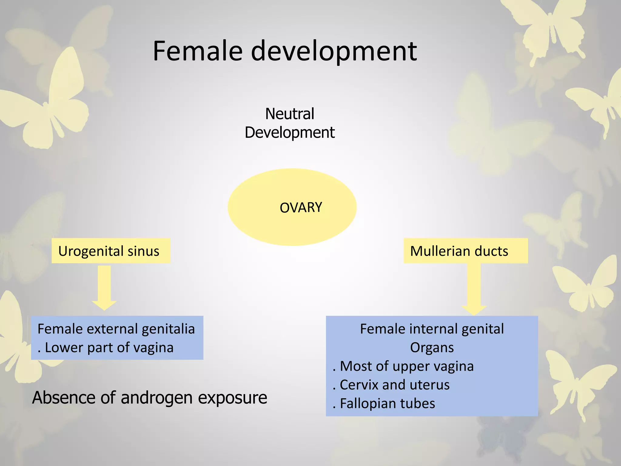 Intersex presentation | PPTX