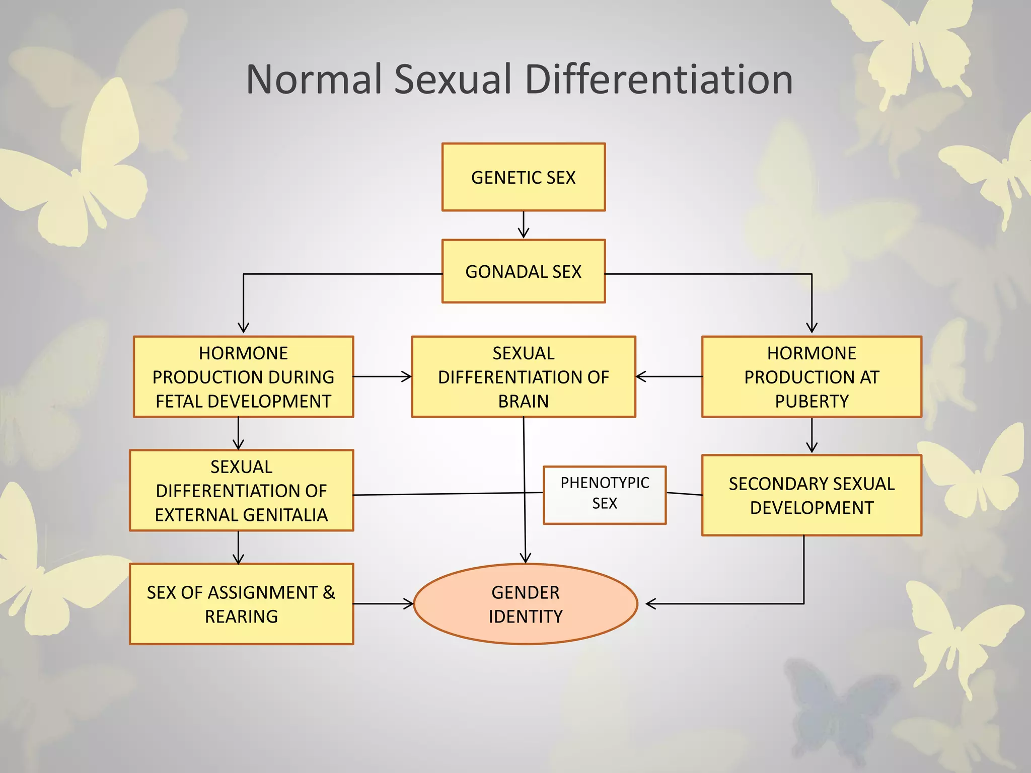 Intersex presentation | PPTX