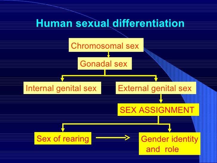 Intersexuality