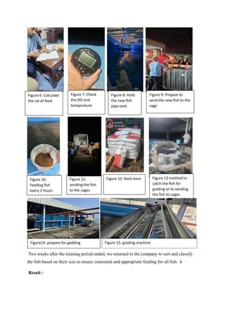 INTERSHIP in hydrogragh offec and bluewater company | PDF