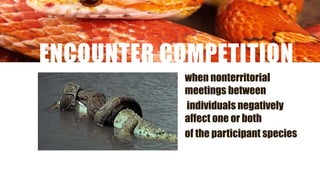Ecology: Interspecific Competition | PPTX