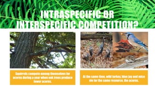 Ecology: Interspecific Competition | PPTX