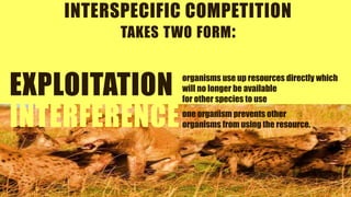 Ecology: Interspecific Competition | PPTX